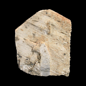 click on image for larger view